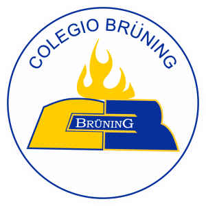 Aula Virtual Bruning